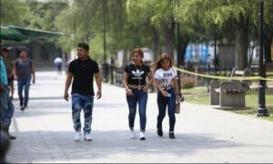 ¿Chiriwillos? - LIBRE Portal de Noticias