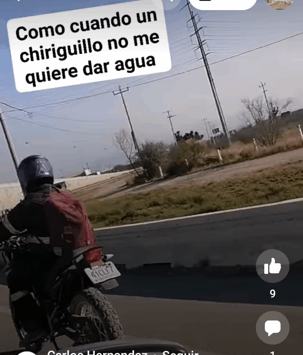 ¿Chiriwillos? - LIBRE Portal de Noticias